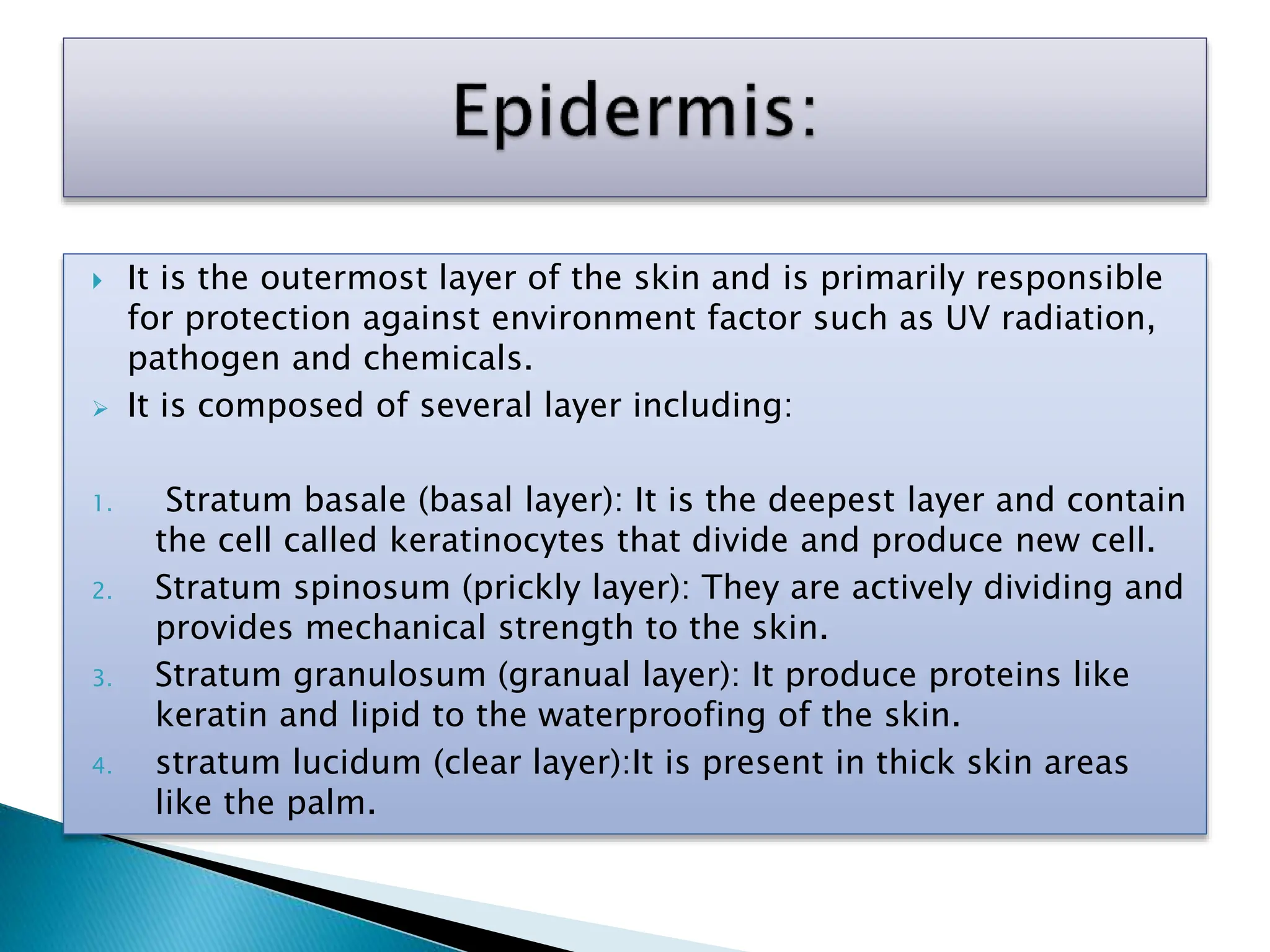 skin disorders.pptx