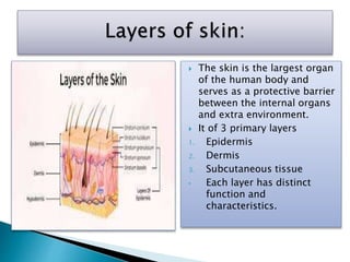 skin disorders.pptx