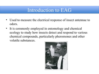 Electroantennogram and Wind tunnel: Principles and Components. | PPTX