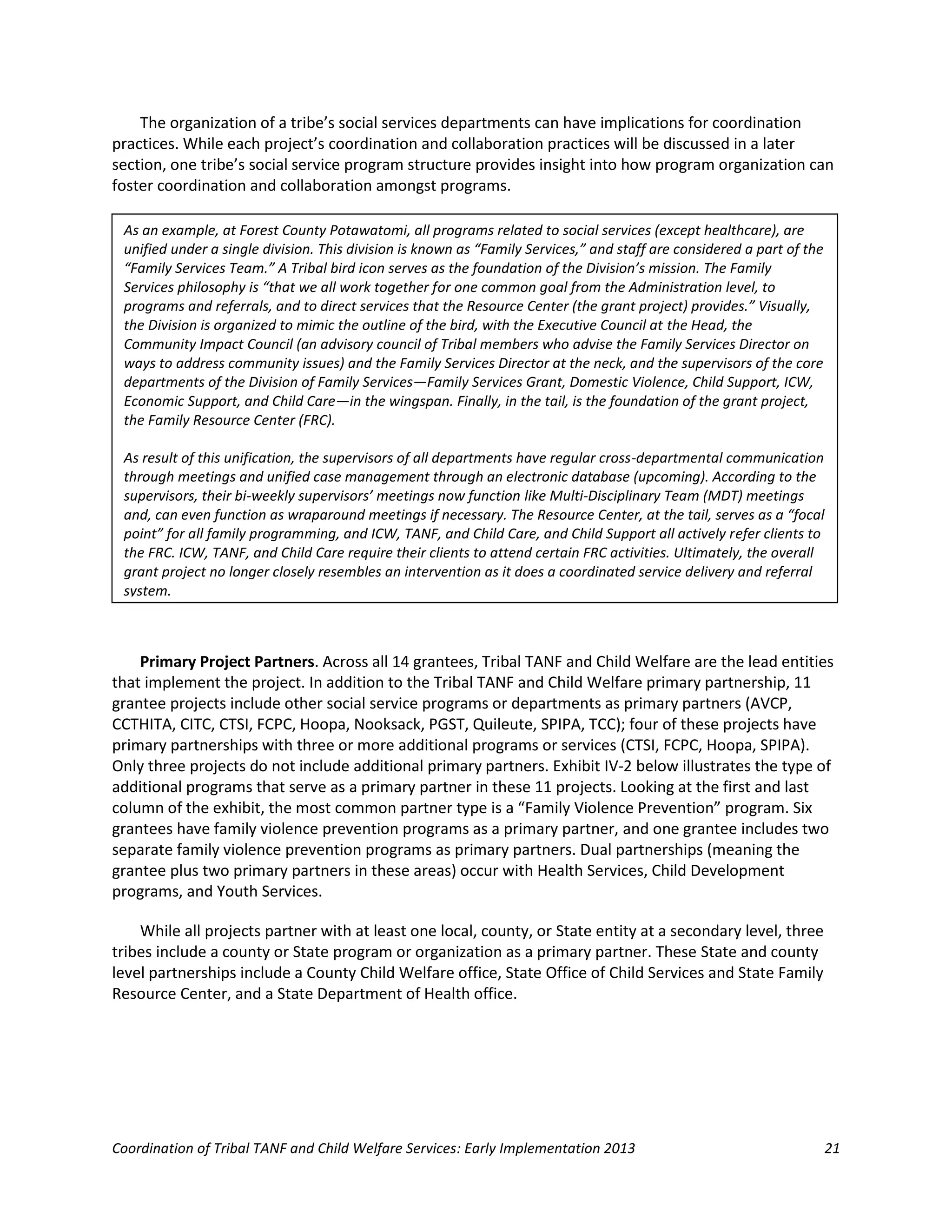 initial_findings_rprt_final | PDF | Adoption and Fostering | Parenting