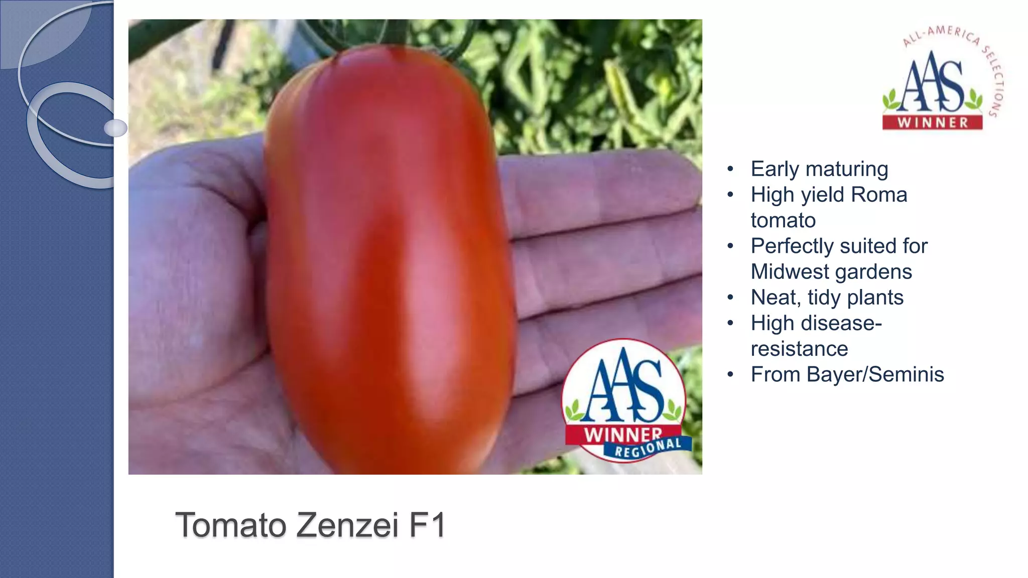 2023 AAS Winners.pptx