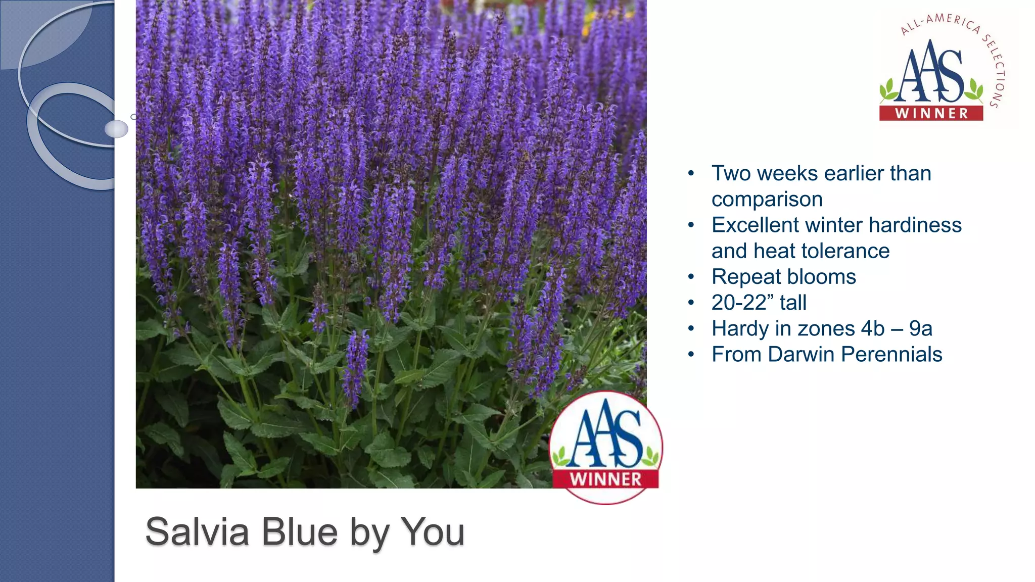 2023 AAS Winners.pptx