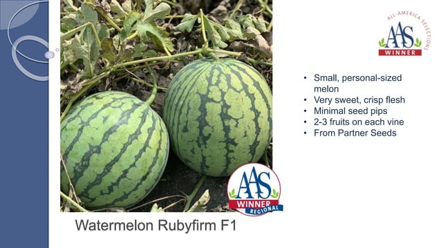 2023 AAS Winners.pptx