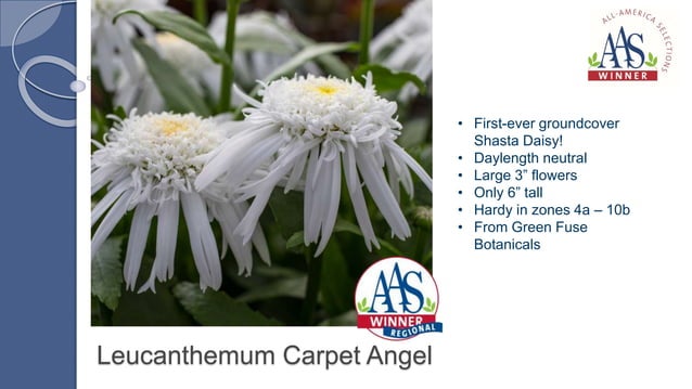 2023 AAS Winners.pptx