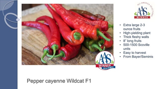 2023 AAS Winners.pptx