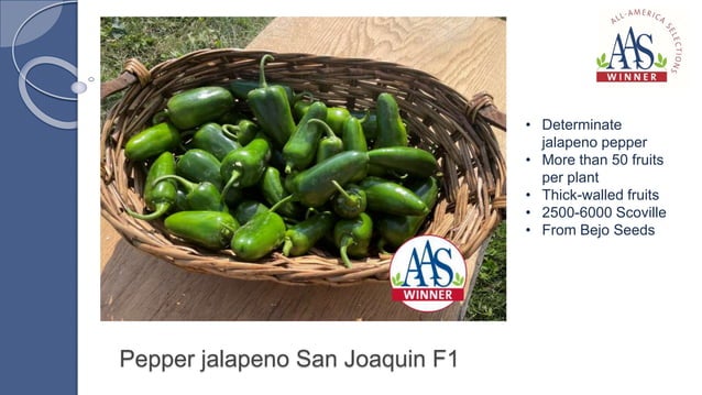 2023 AAS Winners | PPTX