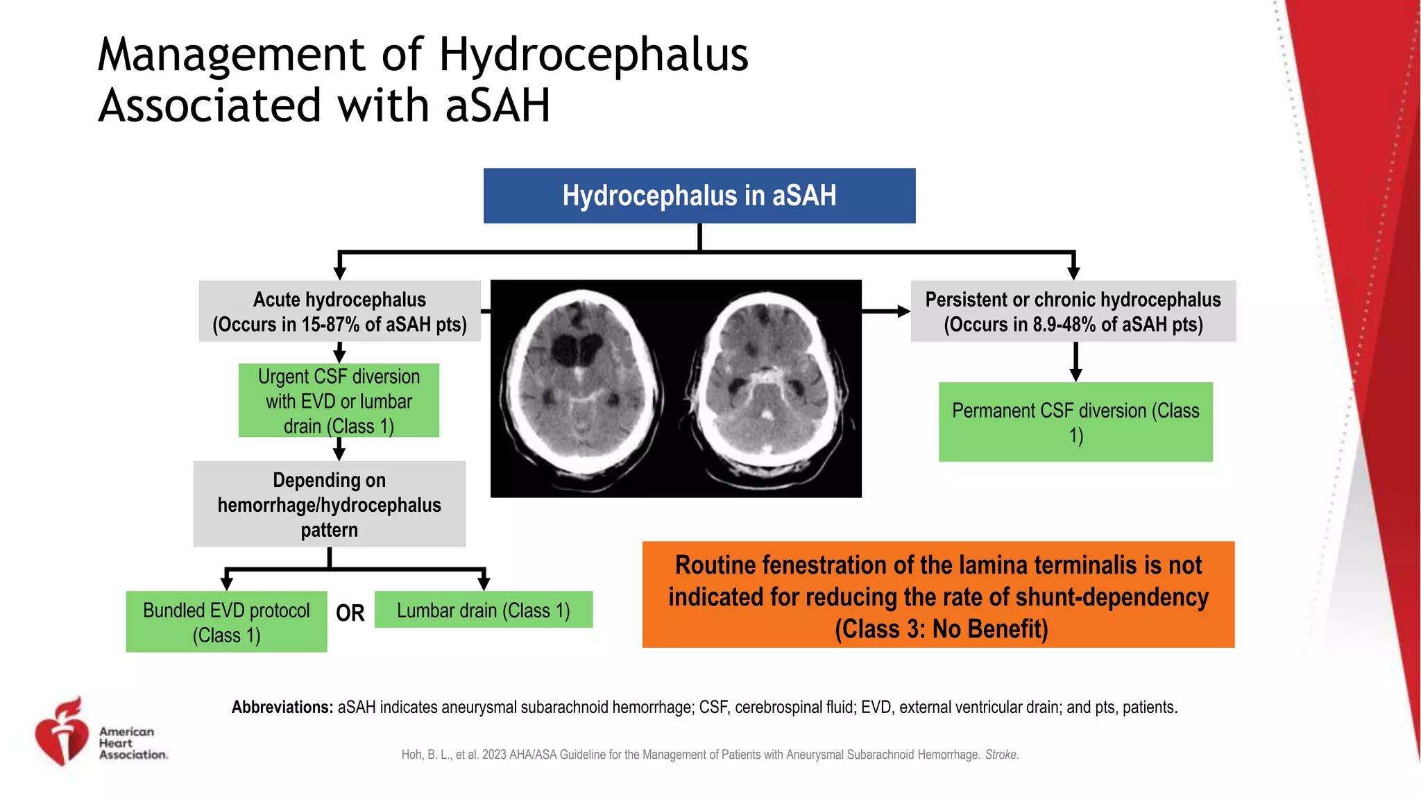 2023 Aneurysmal Subarachnoid Hemorrhage Clinical Update Slides.pptx
