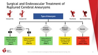 2023 Aneurysmal Subarachnoid Hemorrhage Clinical Update Slides.pptx