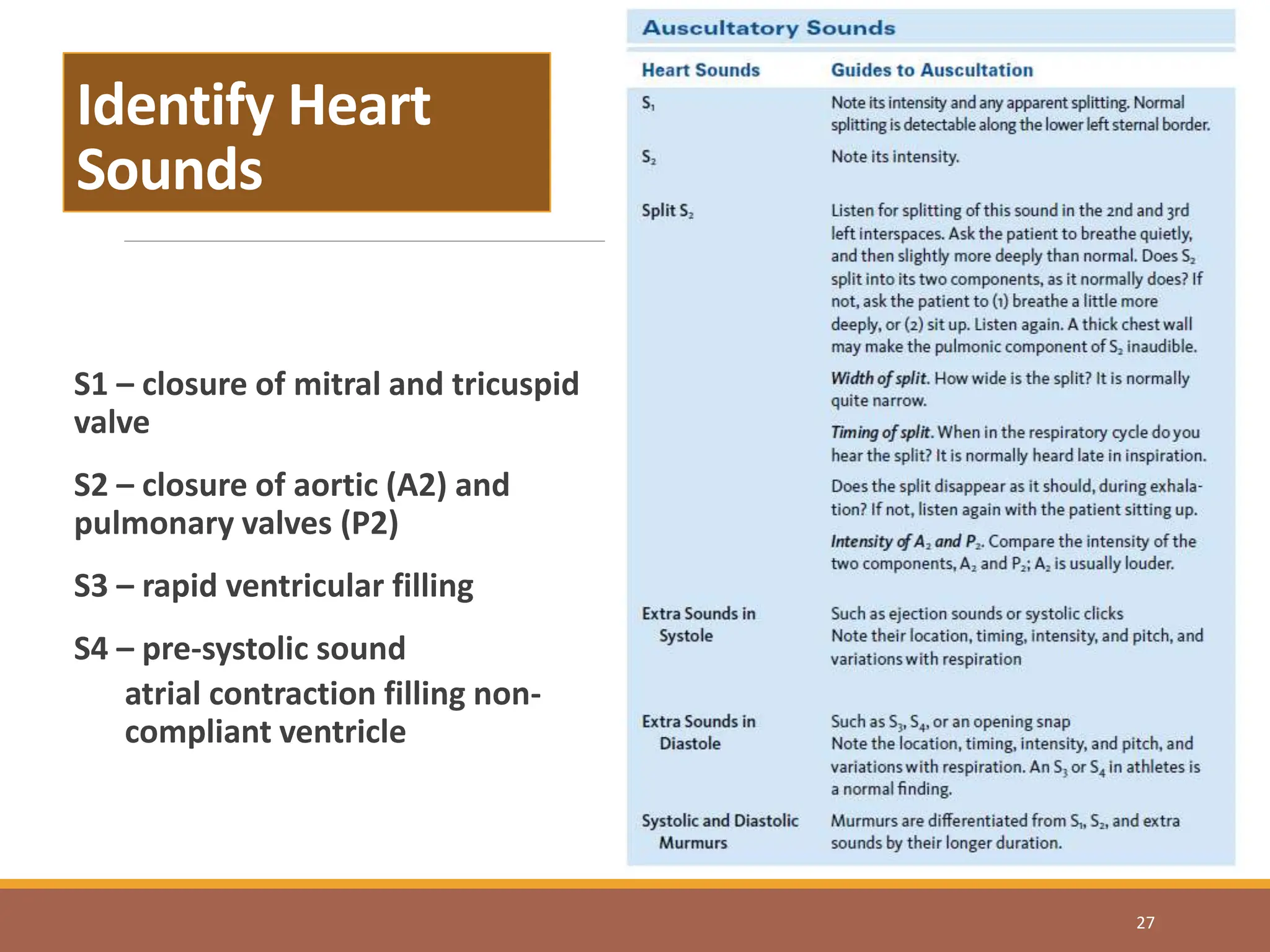 2023 Cardiac Physical Exam basic knowledge | PPTX