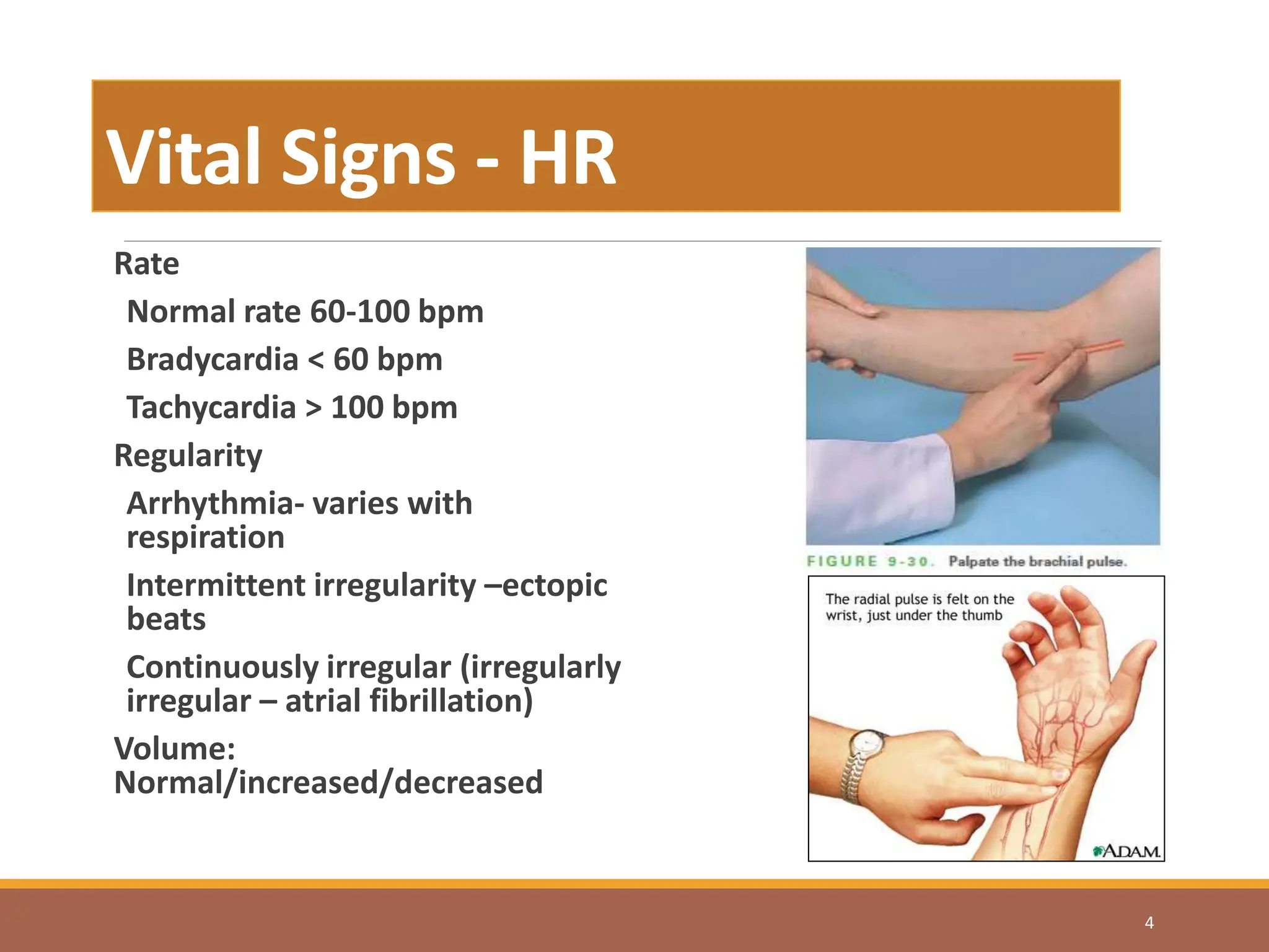 2023 Cardiac Physical Exam basic knowledge | PPT