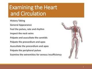 2023 Cardiac Physical Exam basic knowledge | PPTX