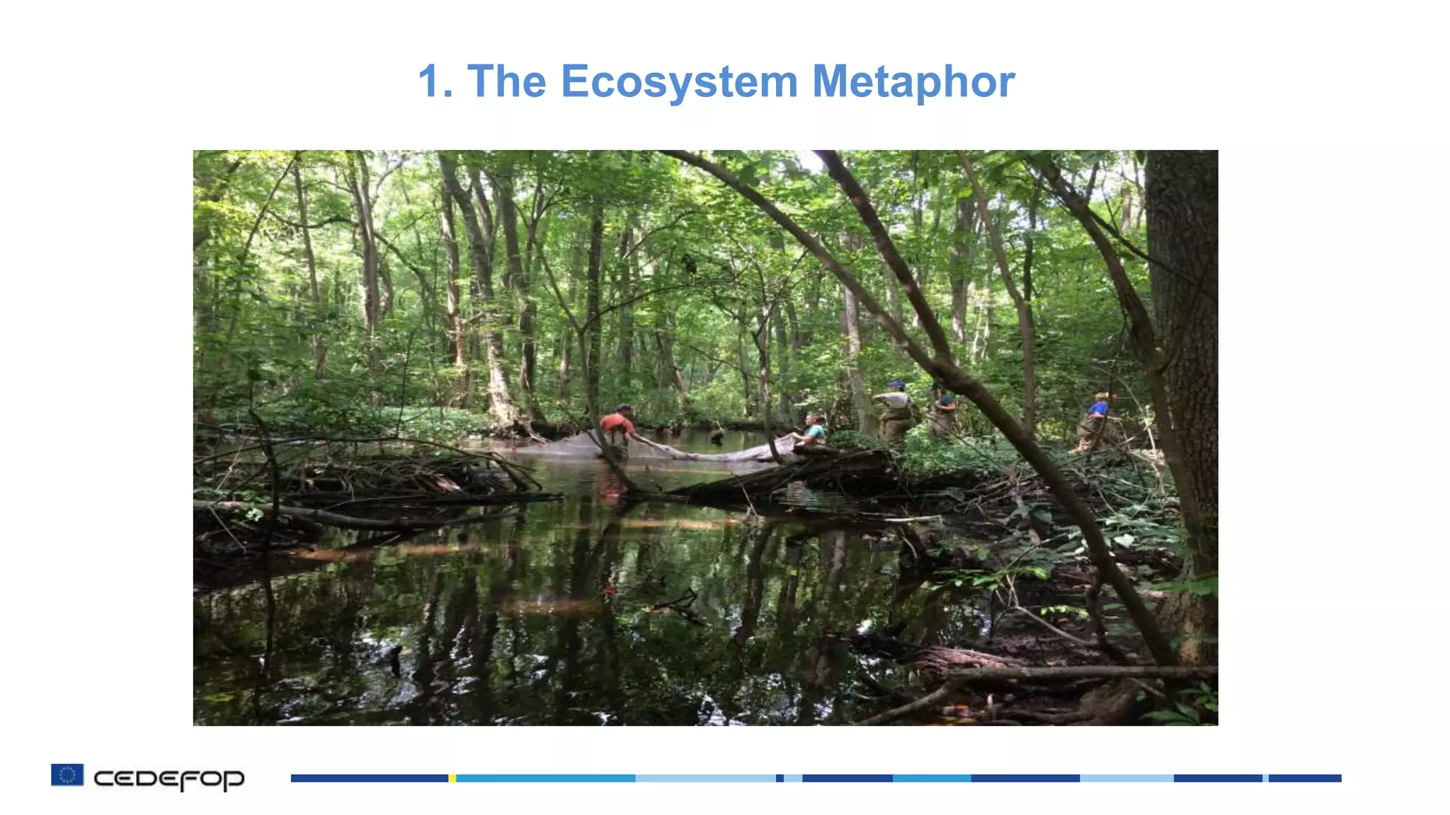 A Digitally Enabled Ecosystem of Micro-credentials: A Complex Ecosystem ...