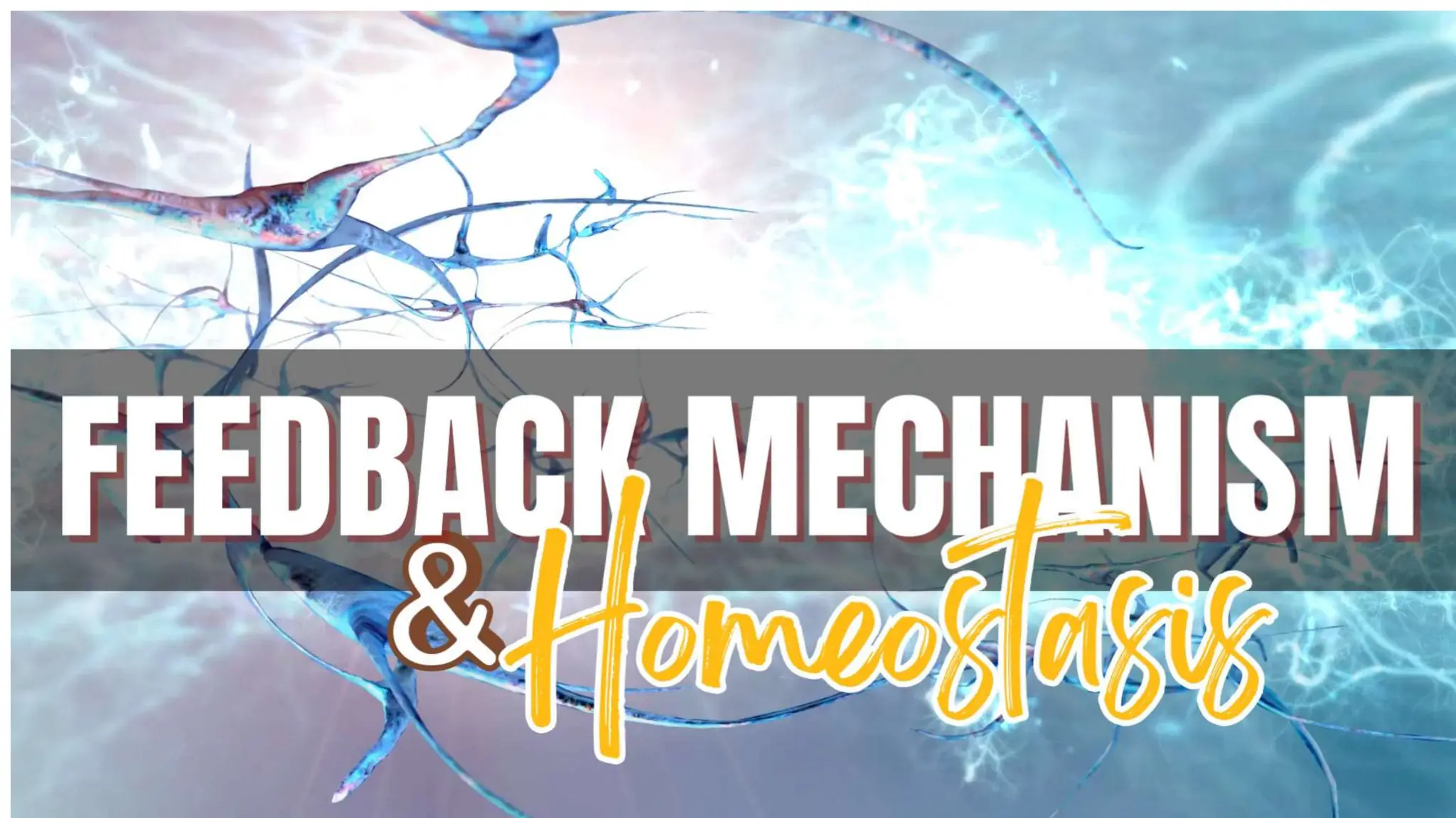 gEN BIOLOGY 2- feedback mechanism | PPTX