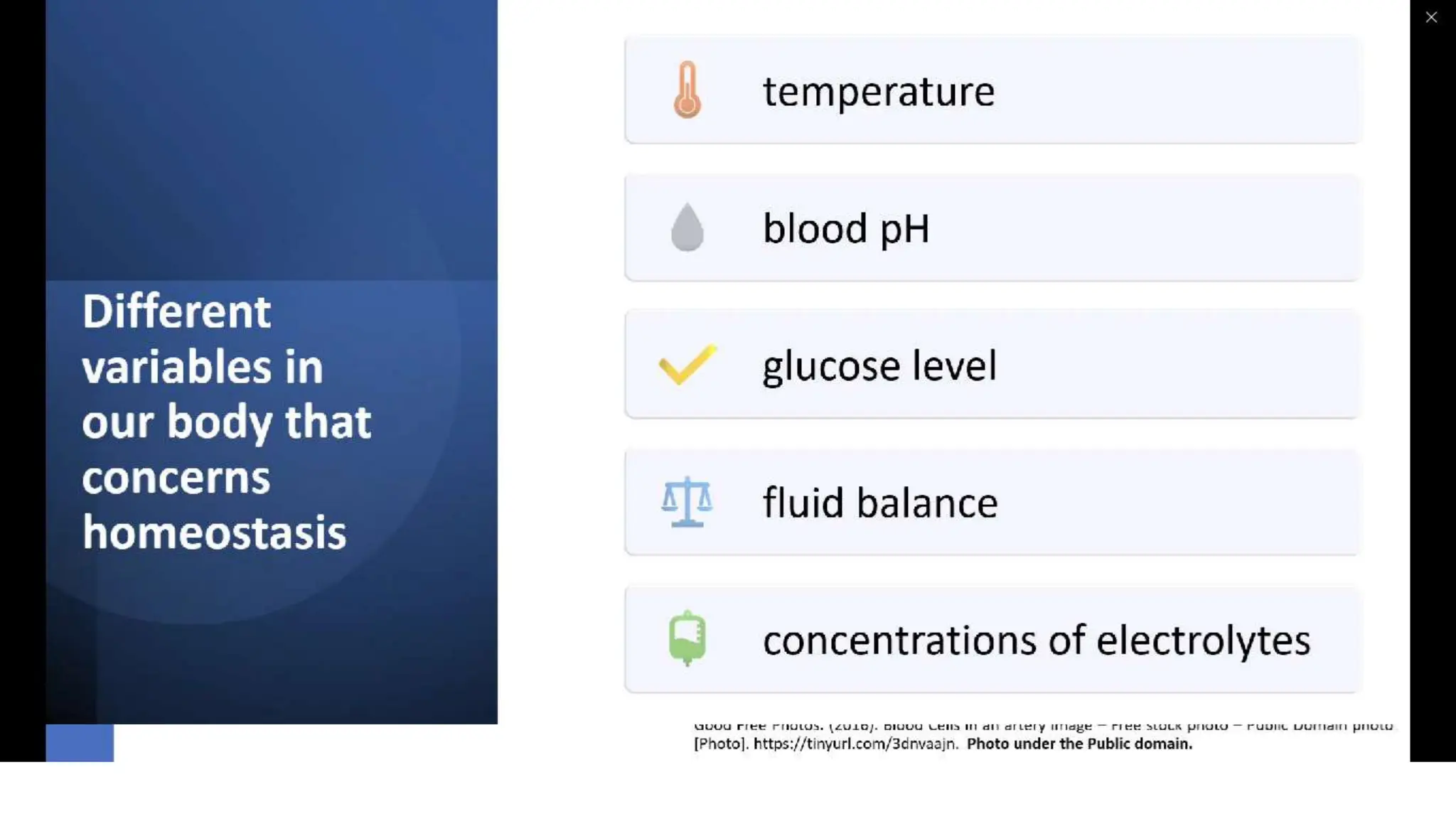 gEN BIOLOGY 2- feedback mechanism | PPTX