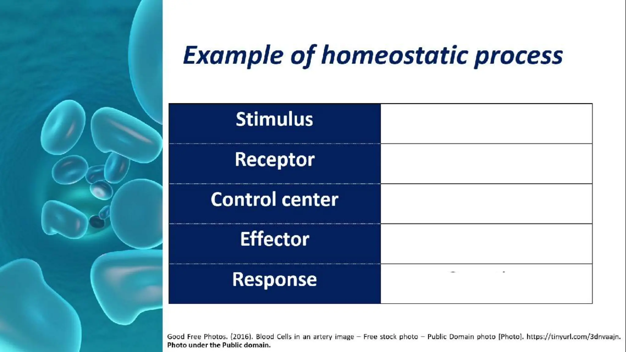 gEN BIOLOGY 2- feedback mechanism | PPTX