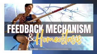 gEN BIOLOGY 2- feedback mechanism | PPTX