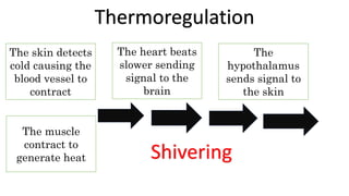 gEN BIOLOGY 2- feedback mechanism | PPTX