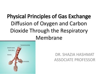 Diffusion and ventilation.pptx respiratory | PPTX