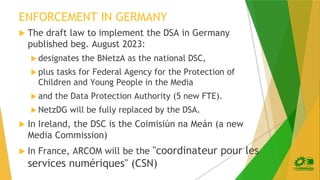 The Digital Services Act - soon in your country | PPTX