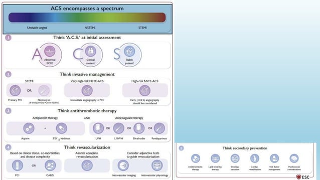 2023 ESC Guidelines, ACS - Copy.pptx | Heart and Cardiovascular ...
