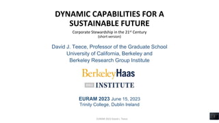 Dynamic Capabilities for a Sustainable Future | PDF