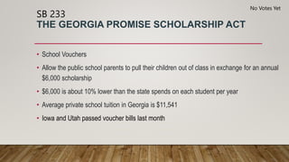 2023 Georgia general assembly.pptx