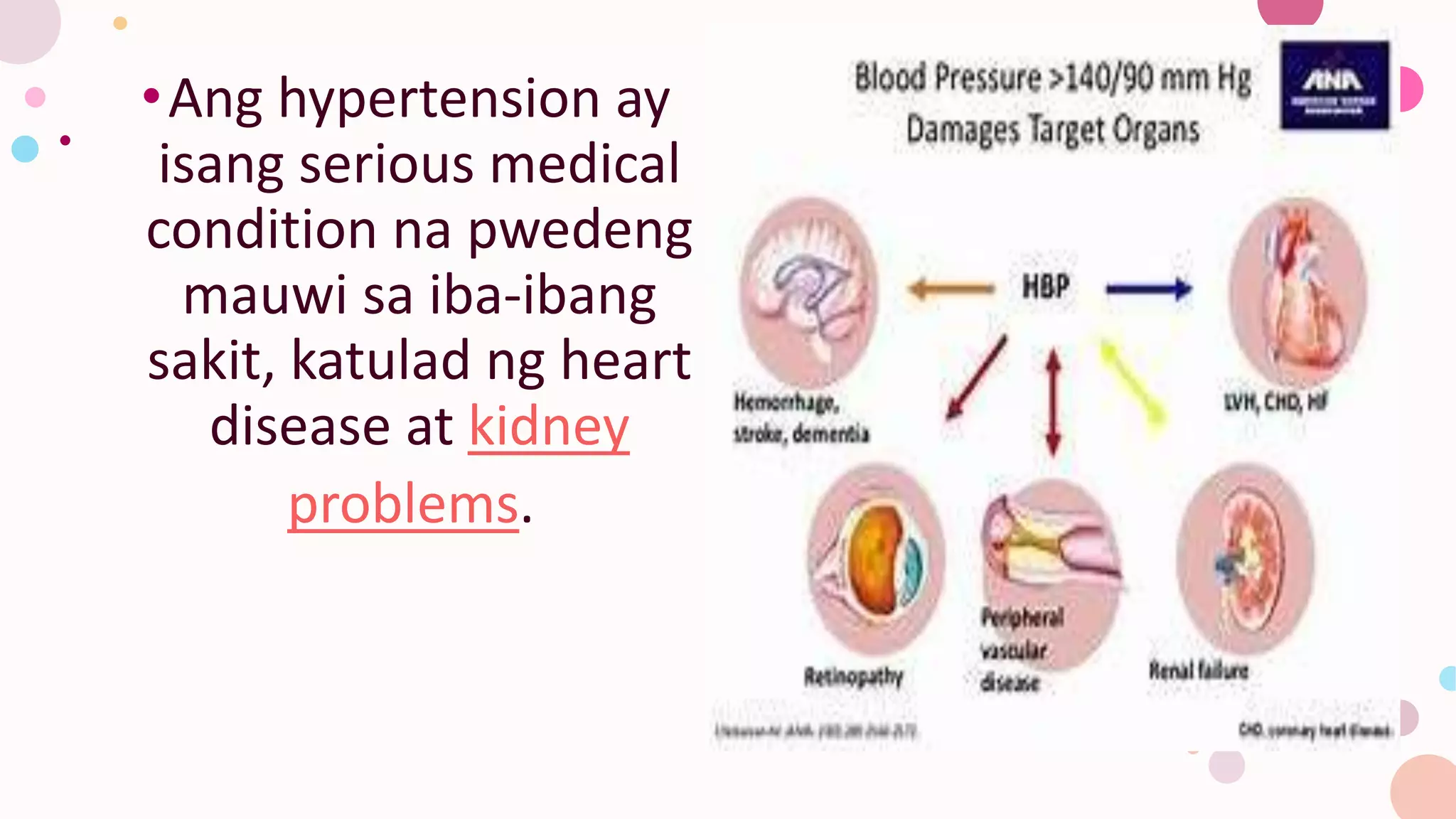 2023_HPN-DM-PPT.pptx