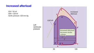 2023 Lecture 6_cardiac cycle.pptxcardiac cycle | PPTX | Digital Audio ...