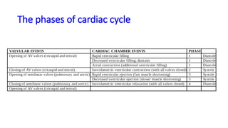 2023 Lecture 6_cardiac cycle.pptxcardiac cycle | PPTX