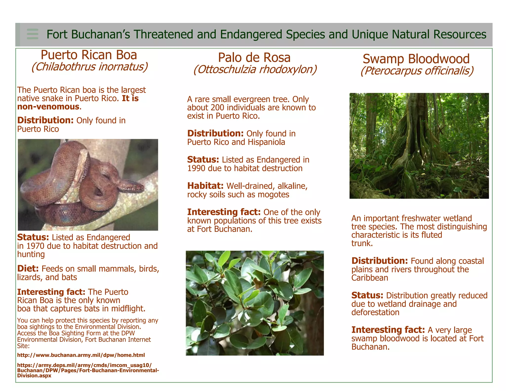 Endangered Species Brochure (Revised 2023MAR) | PPT