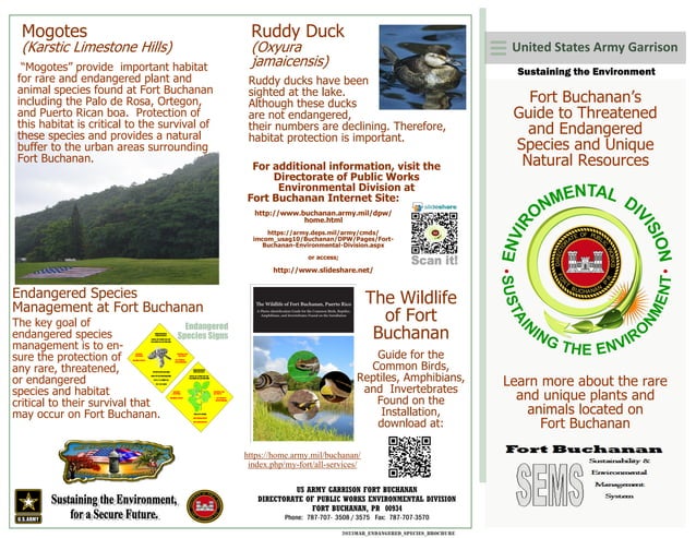 Endangered Species Brochure (Revised 2023MAR) | PPT | Free Download