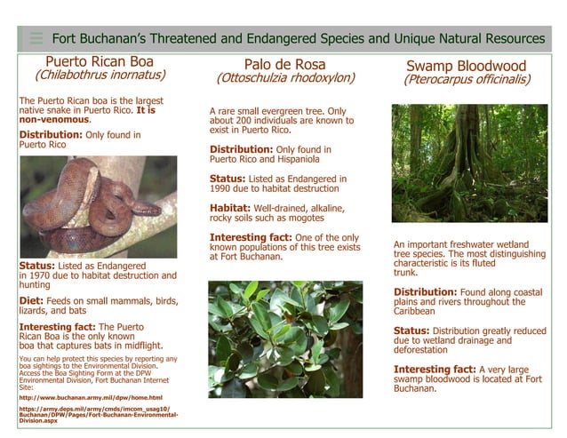 Endangered Species Brochure (Revised 2023MAR) | PPT