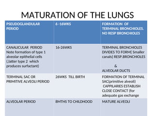 2023 MBBS EMBRYOLOGY RESPIRATORY SYSTEM.ppt