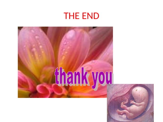 2023 Mbbs Embryology Respiratory System Ppt