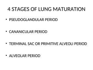 2023 MBBS EMBRYOLOGY RESPIRATORY SYSTEM.ppt