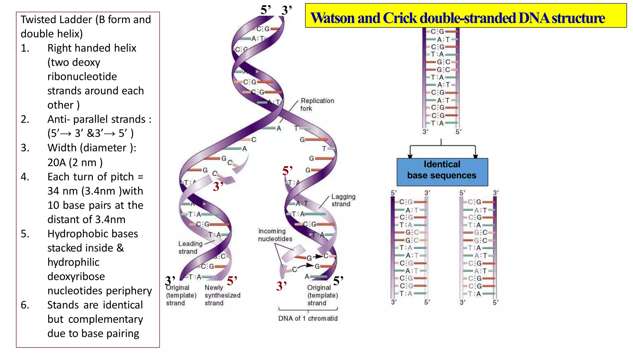 2023 REPLICATION COMPLETE.pptx