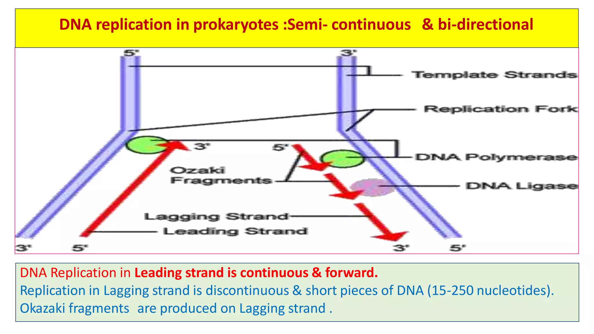 2023 REPLICATION COMPLETE.pptx