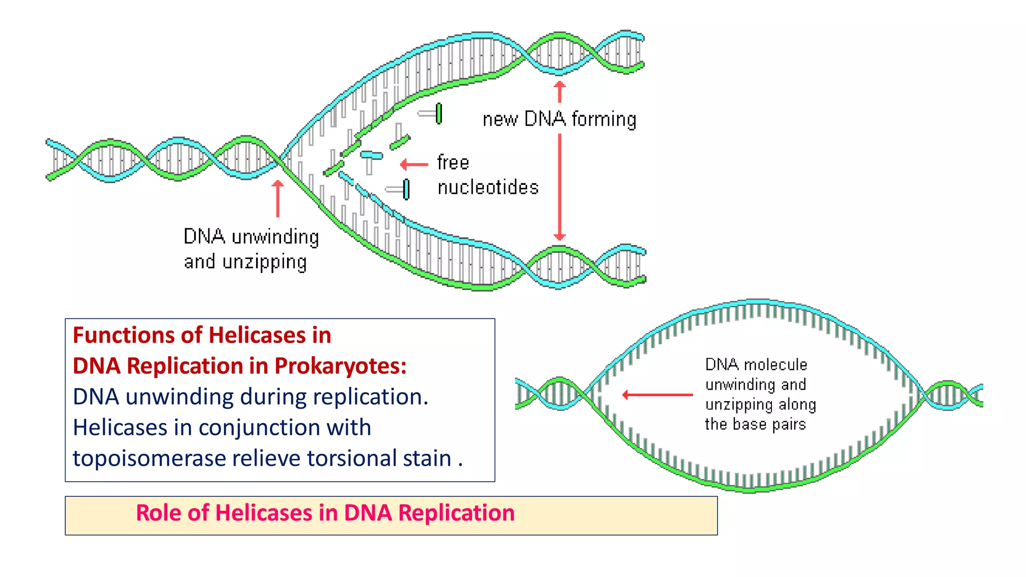 2023 REPLICATION COMPLETE.pptx