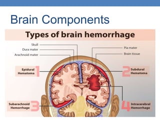2023_Sp_Neuro Case Study_Acute Intracranial Problems-1.pptx