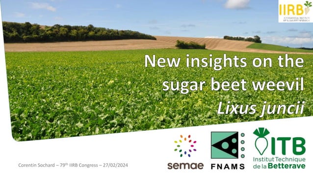 Présentation IIRB 2024 Corentin Sochard - ÌTB | PPT