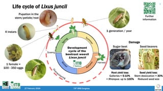Présentation IIRB 2024 Corentin Sochard - ÌTB | PPT