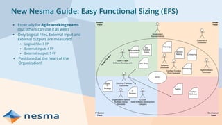 The Use of Functional Size in the Industry.pdf