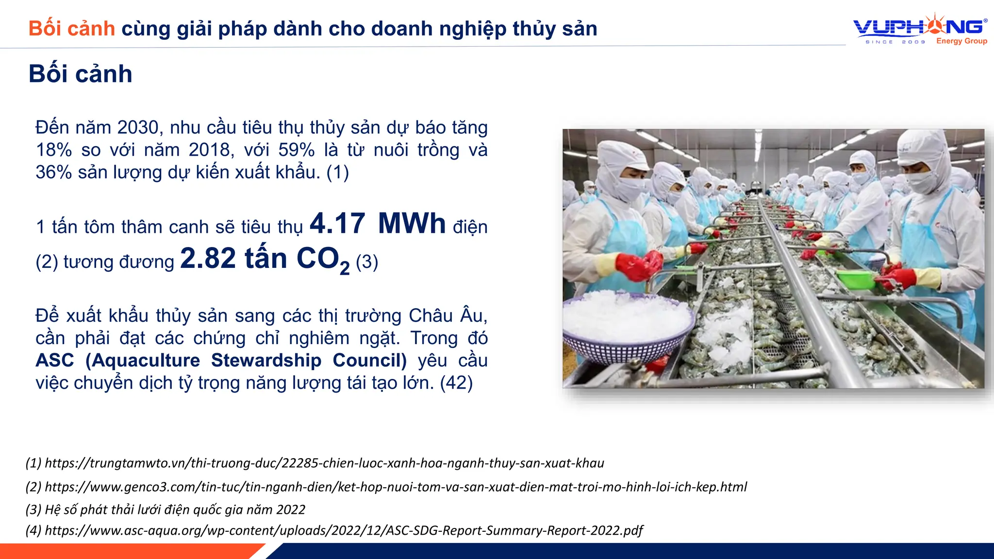 Vu Phong company profile - Giai phap thuc day chuyen dich xanh | PDF