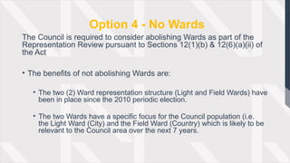 DCY Representation Review Presentation | PPTX