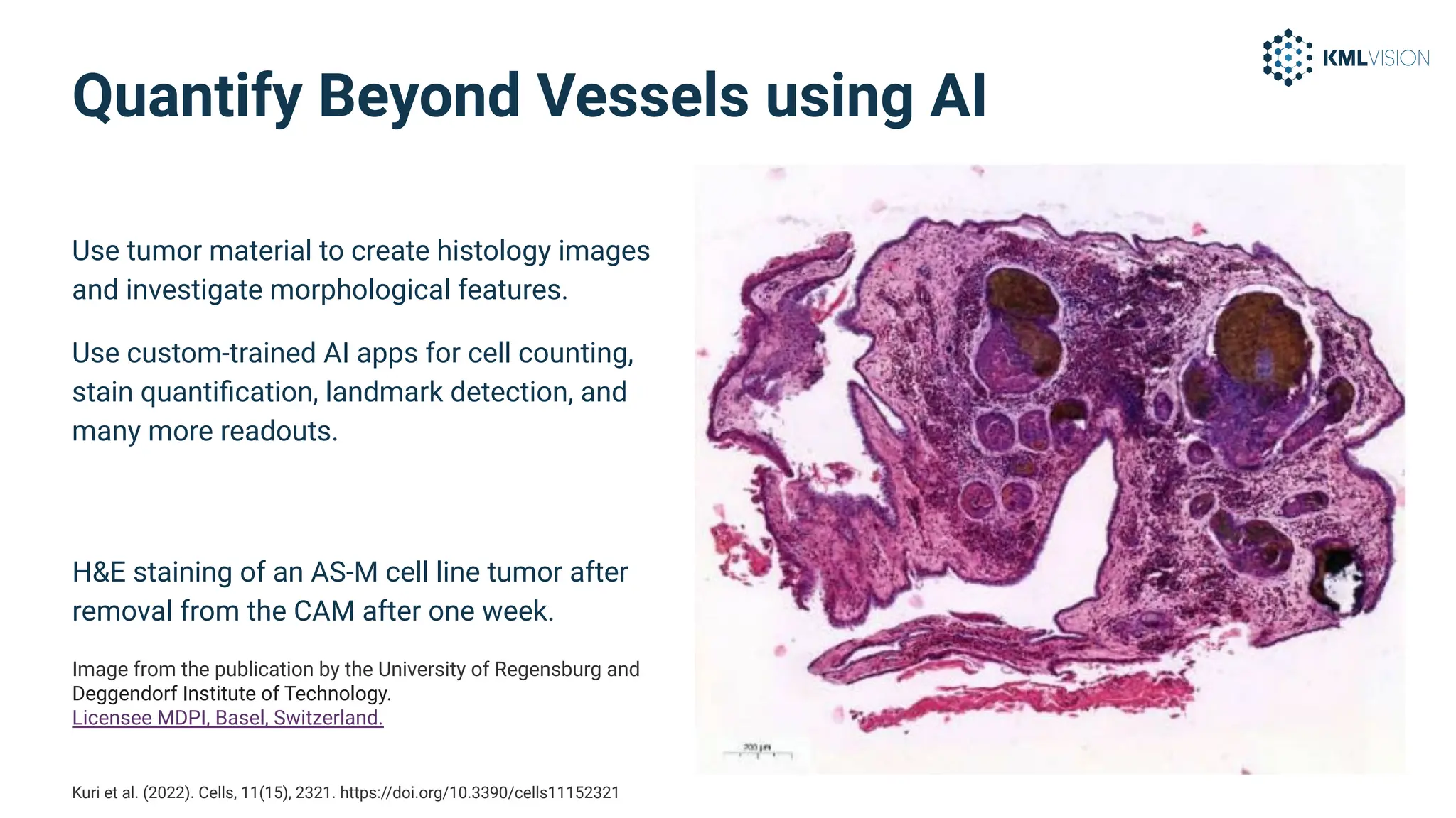 Advancing CAM Assay Image Analysis Using Deep Learning Software | PDF