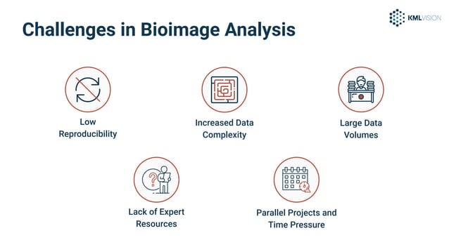 Advancing CAM Assay Image Analysis Using Deep Learning Software | PPT