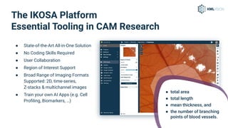 Advancing CAM Assay Image Analysis Using Deep Learning Software | PDF