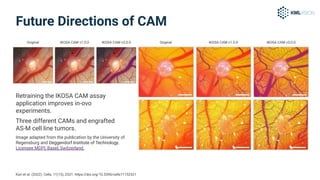 Advancing CAM Assay Image Analysis Using Deep Learning Software | PPT