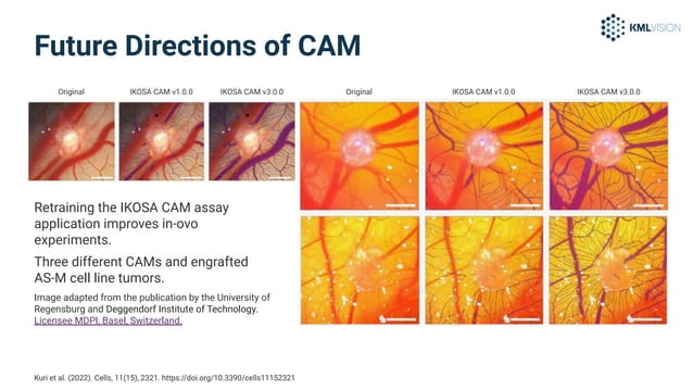 Advancing CAM Assay Image Analysis Using Deep Learning Software | PPT