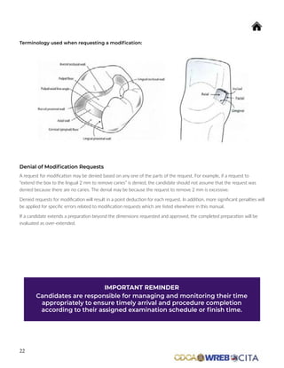 ADEX DENTAL EXAM 2024 REVALIDA DENTAL 2O | PDF